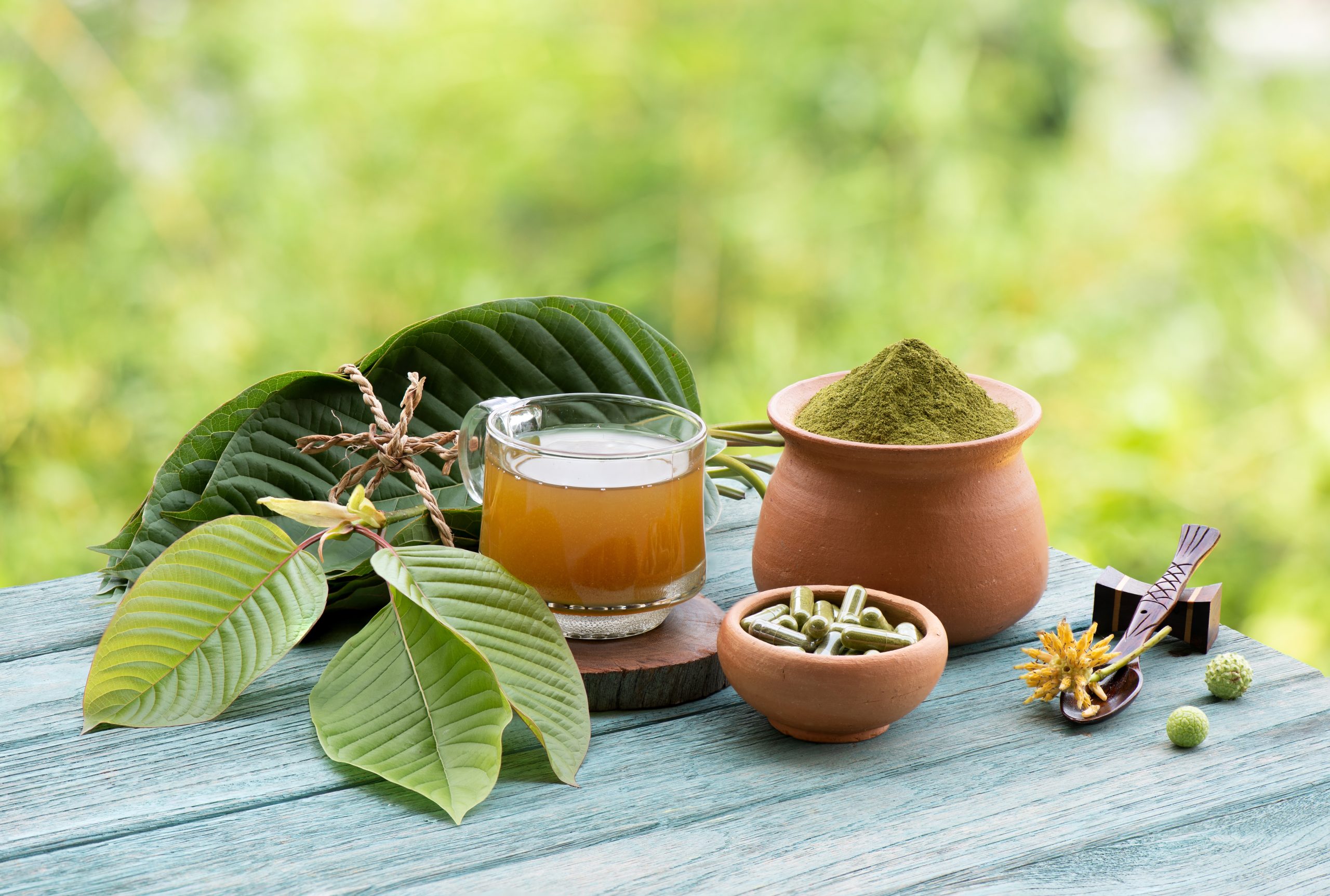 Kratom: A Controversial Herbal Remedy – Health Insight