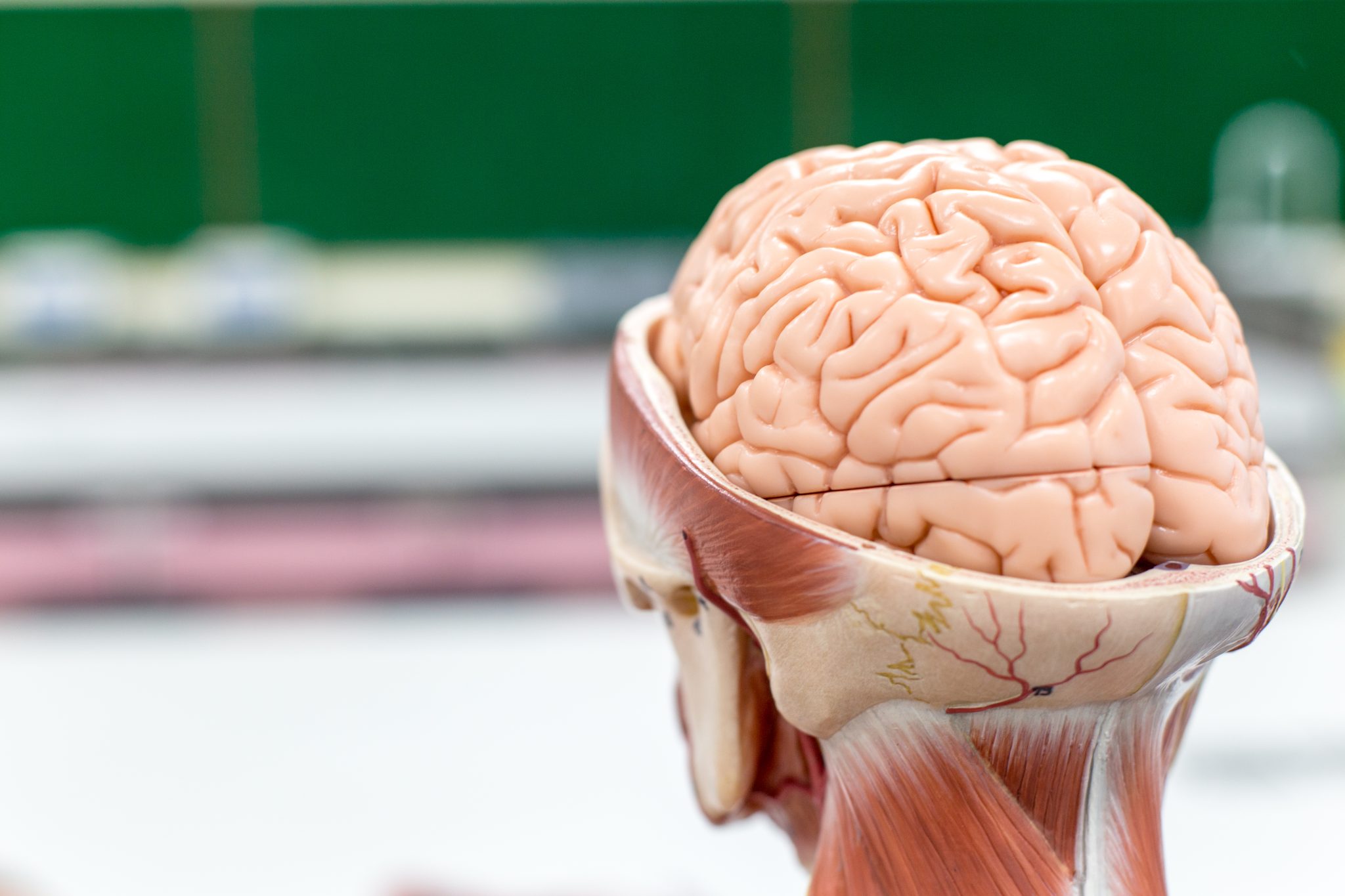 DMT: The Psychedelic That Protects Your Brain – Health Insight